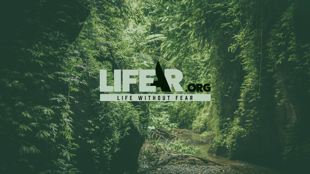 Life Without Fear
