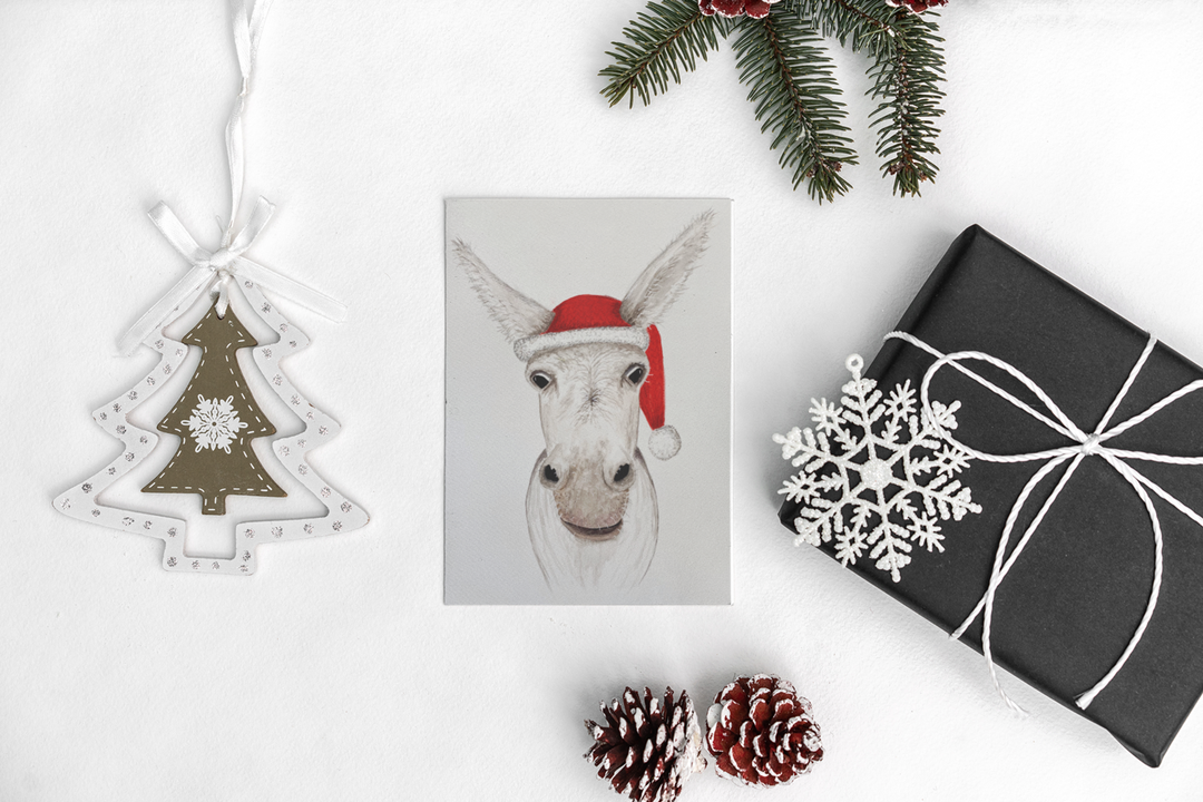 RONNIE COLLECTION – Jacobs Ridge Sanctuary Ltd